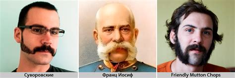 Виды бакенбардов и особенности ухода: как отрастить и ухаживать за ...