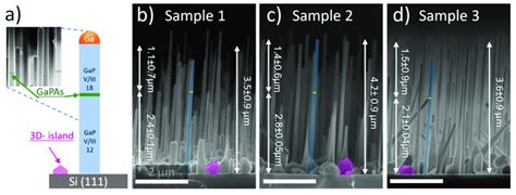 A Schematic Representation Of The Two Staged Growth Procedure B D Download Scientific