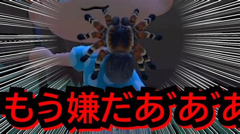 【あつ森】タランチュラが出たあ゛あ゛あ゛あ゛あ゛！！【虫コンプ】 ニコニコ動画