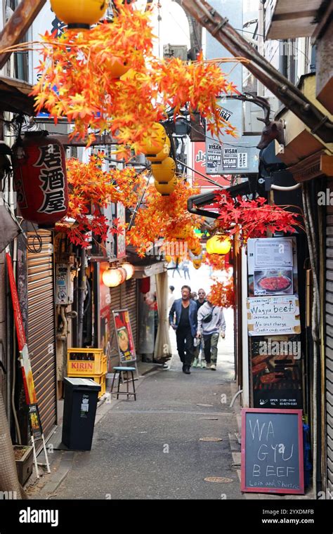 Omoide Yokocho Or Memory Lane Alleyway Of Bars And Restaurants In