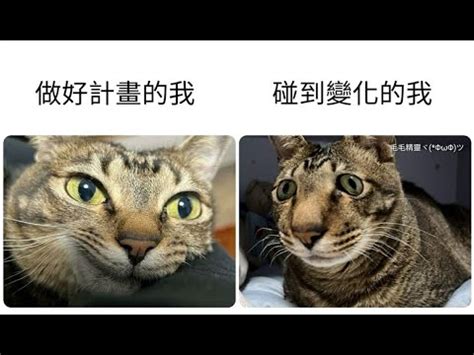 跨年直播 做自己的遊戲 從遊戲設計到程式設計想聊天可以來 12 31 YouTube