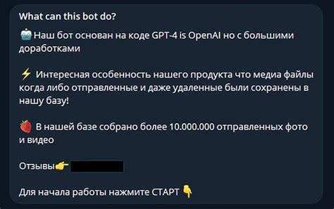 Обнаружен мошеннический Telegram бот для якобы поиска интимных фото и видео Блог Касперского