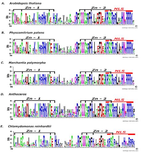 Sequence Logo Of Conserved Sbp Domain Of Spl Proteins From A A
