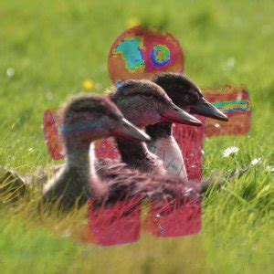 Layer Modes