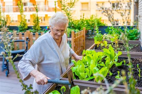 Premium Photo Elder Woman Seedling In A Vegetable Garden In A Geriatric
