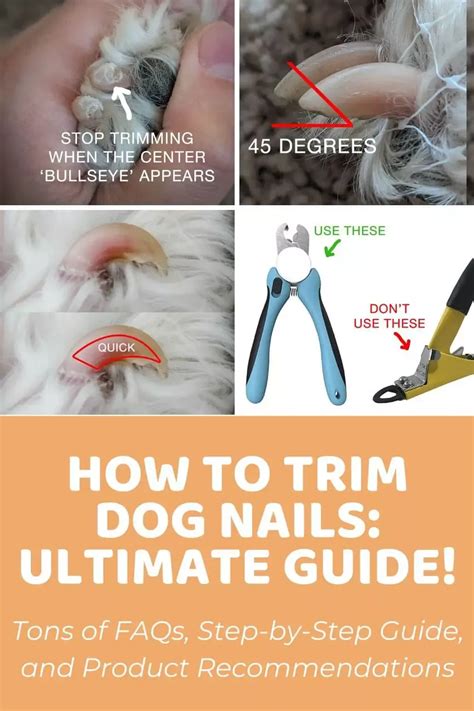 Home Grooming Tutorials Artofit