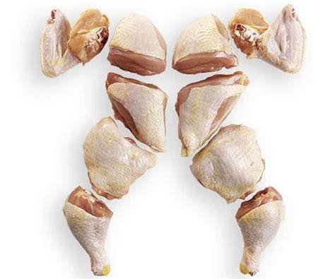 Frozen Processed Halal Chicken Feet At Best Price In Mumbai