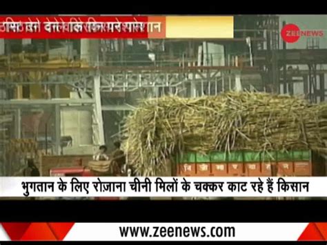 Uttar Pradesh Farmers Shows Anger Over Dues By Sugar Mills Zee News
