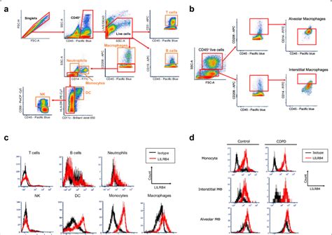 The Expression Of Lilrb4 On Lung Interstitial Macrophages Was