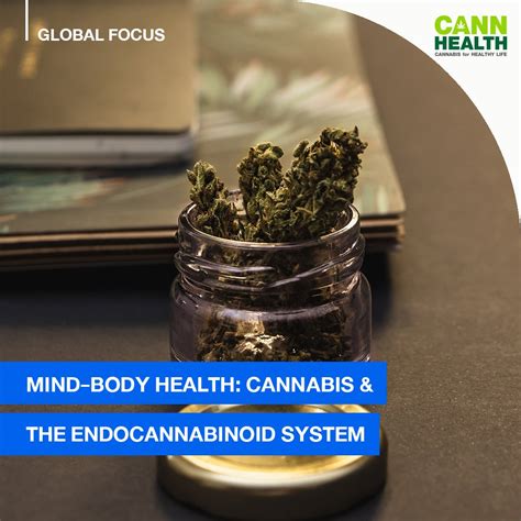 Mind Body Health Cannabis The Endocannabinoid System Cannhealth