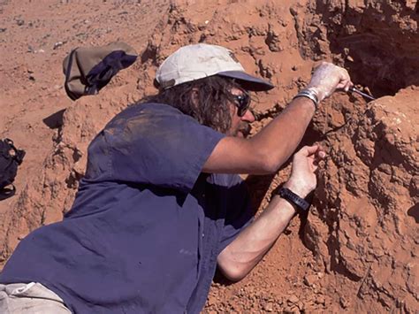 Fossil Hunting Where S The Fossil Amnh