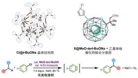 醇钠团簇X RONa可催化以氯苯为前体的苯炔胺基化反应 X MOL资讯