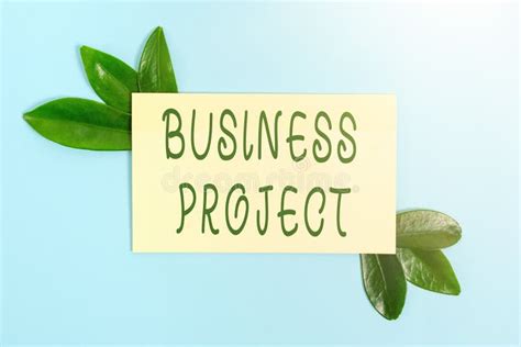 Hand Writing Sign Business Project Internet Concept Planned Set Of Interrelated Tasks To Be