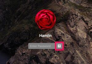 How To Reset MacOS Password In MacOS Big Sur Catalina Mojave