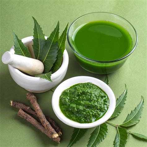 Neem- Uses, 10 Magical Health and Skin Benefits of Neem – Biossential