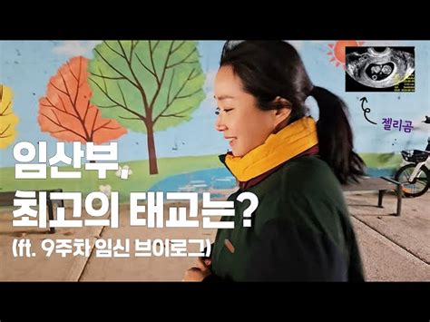 임산부 최고의 태교는 뭘까 남편의 역할 Ft임신 9주차 브이로그