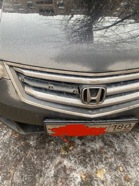 Нужен молдинг на решетку радиатора!КУПЛЮ — Honda Accord (8G), 2,4 л ...