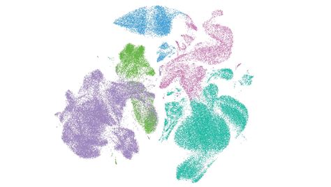 New Multi Modal Single Cell Technologies Enable Deep Profiling Into Human Immune Cell