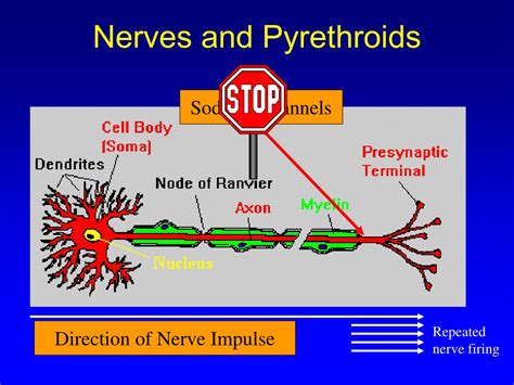 Ppt Pesticides Types And Modes Of Action Powerpoint Presentation