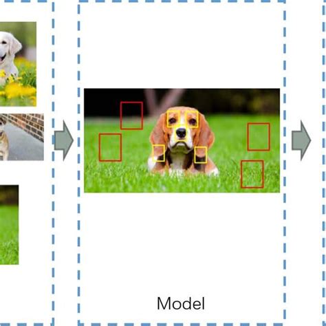 illustration example of how the distribution shifts between training