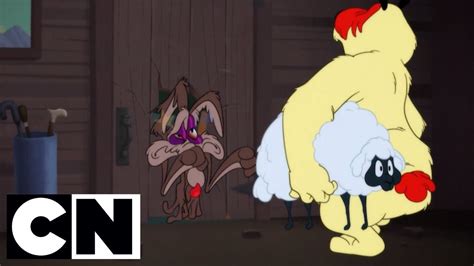 Looney Tunes Ralph Wolf And Sam Sheepdog Cartoon Network Youtube
