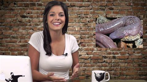 Katie Nolan Nudes Telegraph