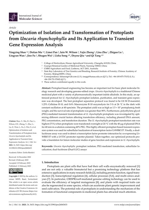 Pdf Optimization Of Isolation And Transformation Of Protoplasts From Uncaria Rhynchophylla And