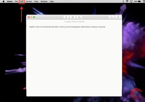 How To Turn Off Auto Correct On MacBook