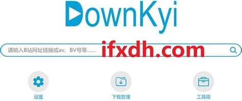 Downkyi V