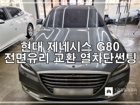 제네시스 앞유리 복원불가 자동차유리 교환 보험처리 네이버 블로그