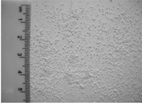 Controlled Release Of Diclofenac Sodium From Silica Chitosan Composites