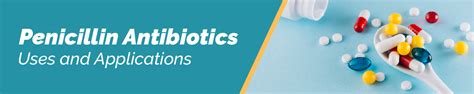 Penicillin Antibiotics Uses And Applications Medikabazaar Medikabazaar