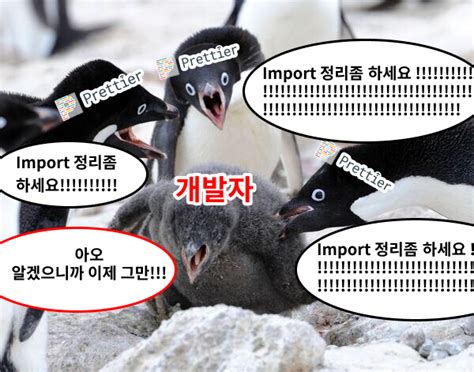 Prettier로 뒤죽박죽 Import 정리하기