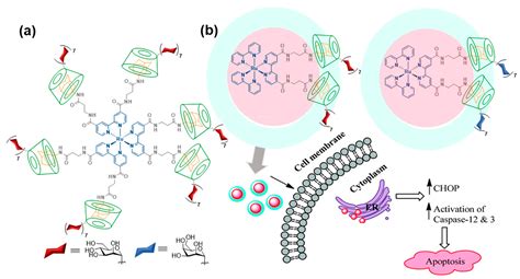 Cyclodextrin Based Functional Glyconanomaterials