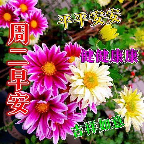 9月19日周二早安秋天愉快最美的早晨祝福送给您 短信 开心 关怀