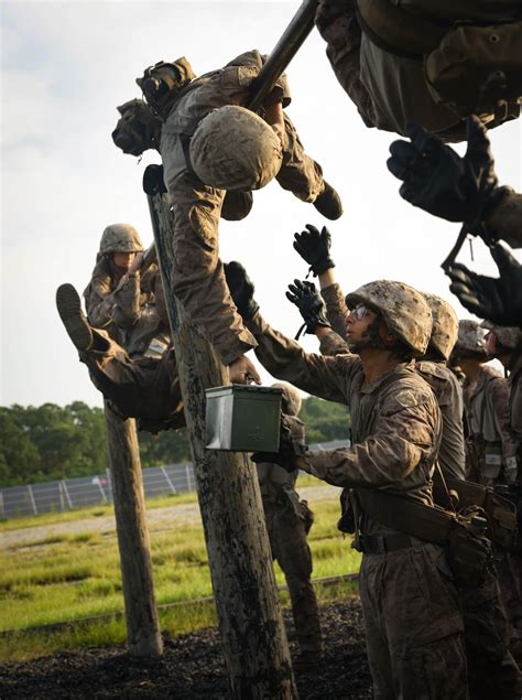 DVIDS Images Delta Company Crucible Image 7 Of 19