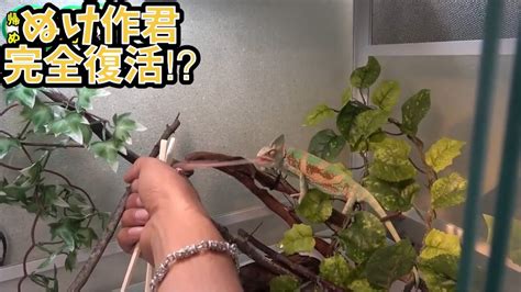 ぬけ作君完全復活⁉︎ Youtube