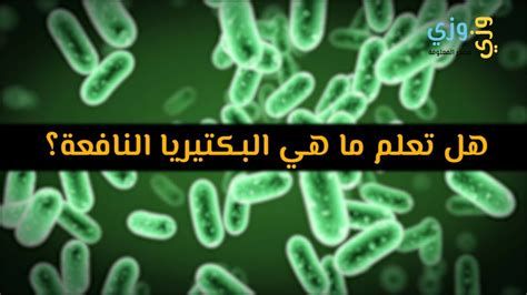 أهم هل تعلم ما هي البكتيريا النافعة Youtube