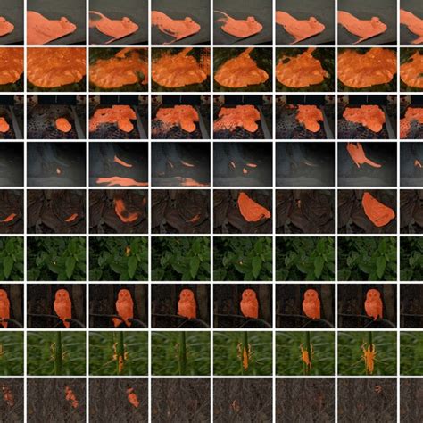 Visualization Comparisons Between Our Camoformer And Other Sota
