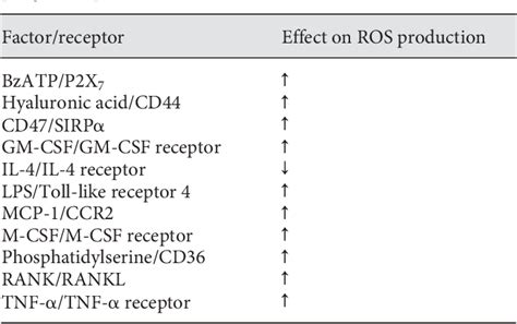 Figure 1 From Role Of Nadph Oxidase In Formation And Function Of