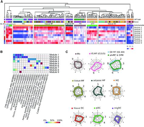 Metabolic Modules As A Result Of Multi Sample Metabolic Network