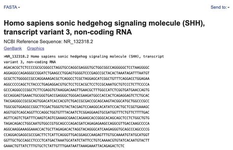 Bulut Hamali Phd On Linkedin Bioinformatics Sequenceanalysis Datascience Innovation