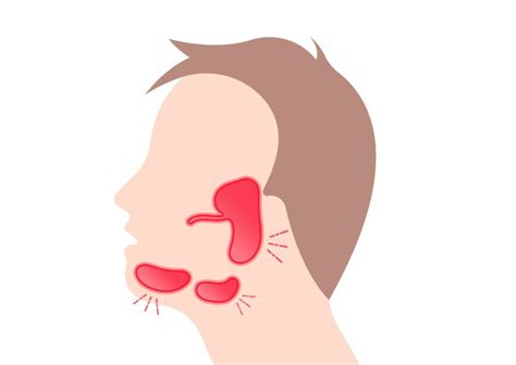 口が乾く人は要注意！唾液の大切な役割と口腔内乾燥の対処法について徹底解説！｜【和光市歯医者・矯正歯科】｜和光市デンタルオフィス インプラント