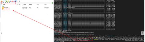 记录docker部署mysql容器时提示my cnf not a directory 的解决方法 mysql8 0 my cnf is a