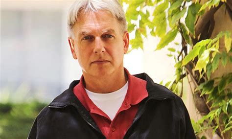 Ncis Gibbs Boat How He Pulled Out His Boat From Basement