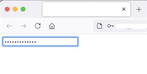 How To Add A Password Field Textbox In Html Programmerabroad