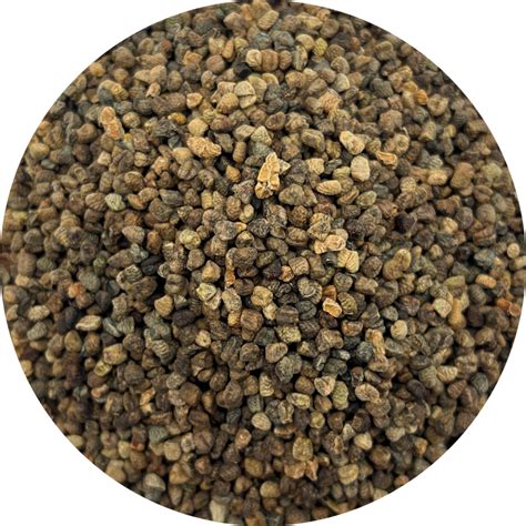 Cardamom Seed Decorticated Wholesale