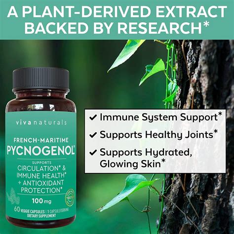 Pycnogenol 100mg French Maritime Pine Bark Extract Healthy Blood