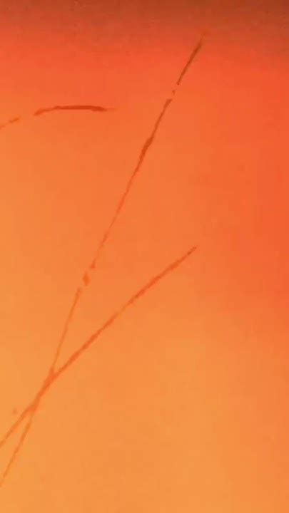 Dsa Softwareengineer Computerscience Youtube