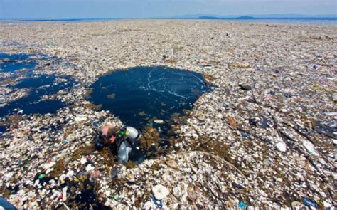 Petition Clean Up The Great Pacific Garbage Patch